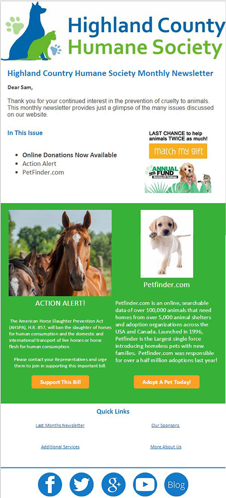 Fundraising Online for Nonprofit Organizations