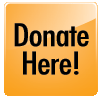 Online Donation Buttons for DonorPerfect and Weblink